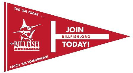 Support Billfish Conservation! – The Billfish Foundation